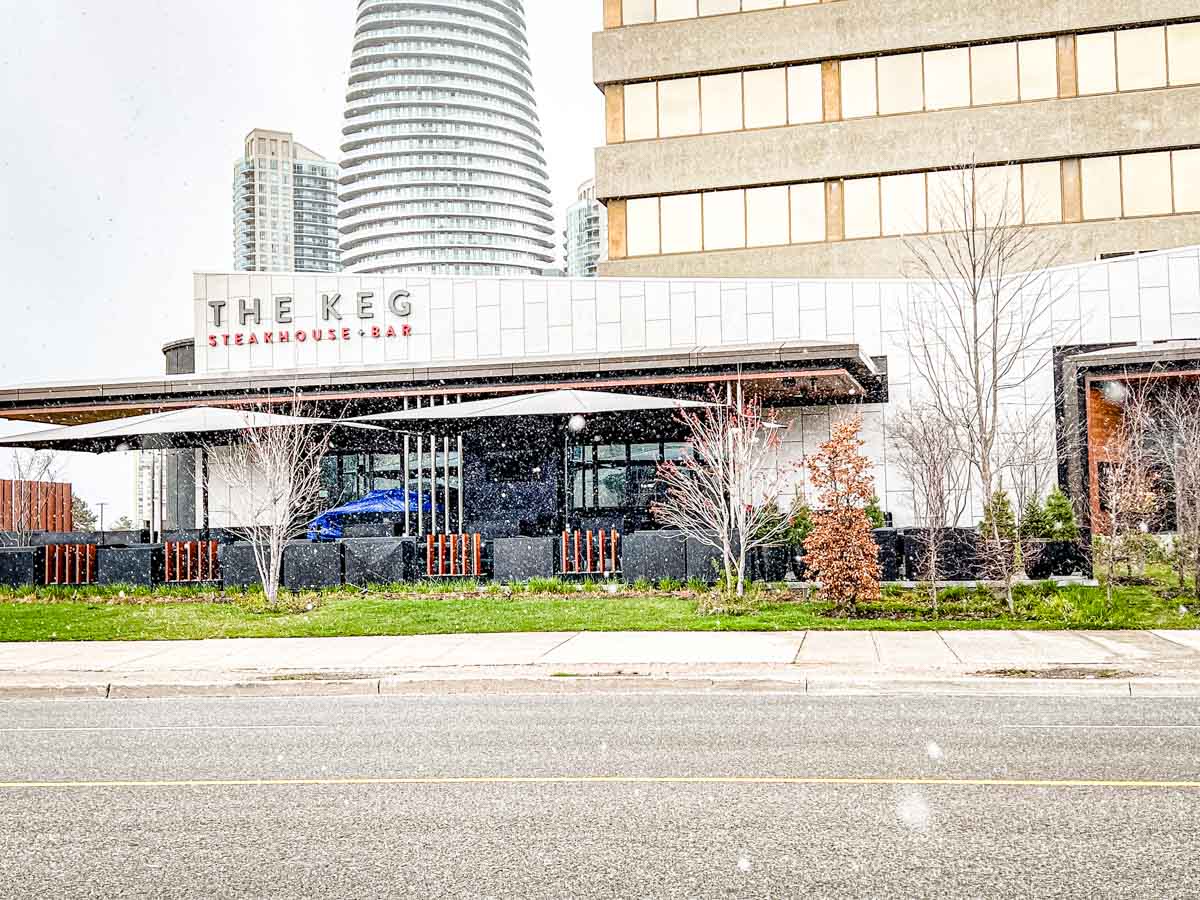 Best Restaurants in Square One Mall - All the Best Spots
