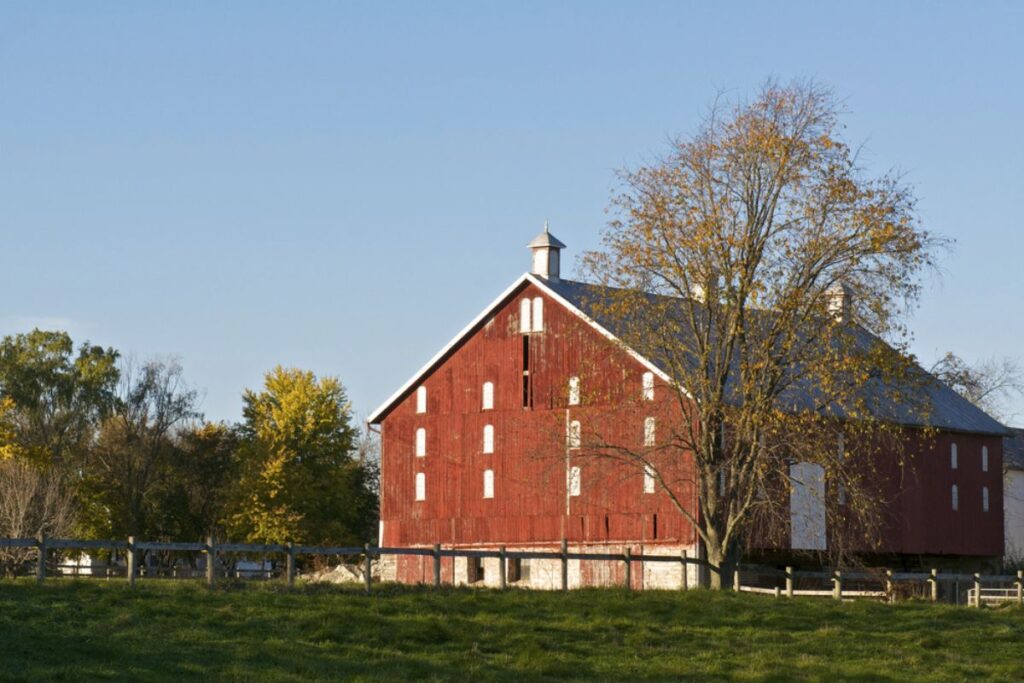 Mennonites in Kitchener-Waterloo: A Living Tradition