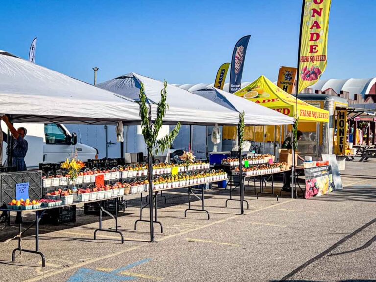Exploring St. Jacobs Market: A Must-Try for Farmers' Market Fans