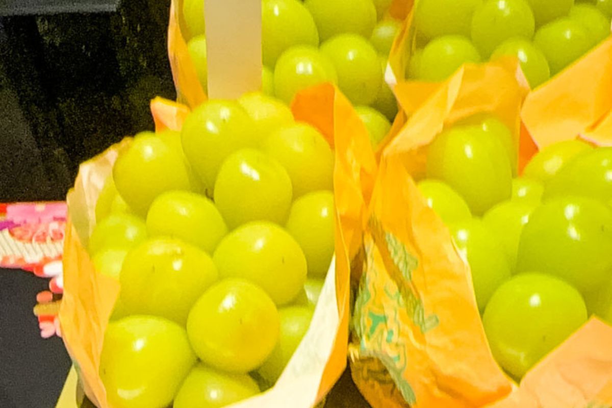 What to Eat at Harrods, London - All the Best Spots
